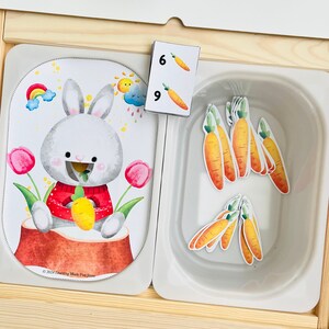 Feed the Bunny Flisat Insert, Size Sort, Counting Activity, Printable ...