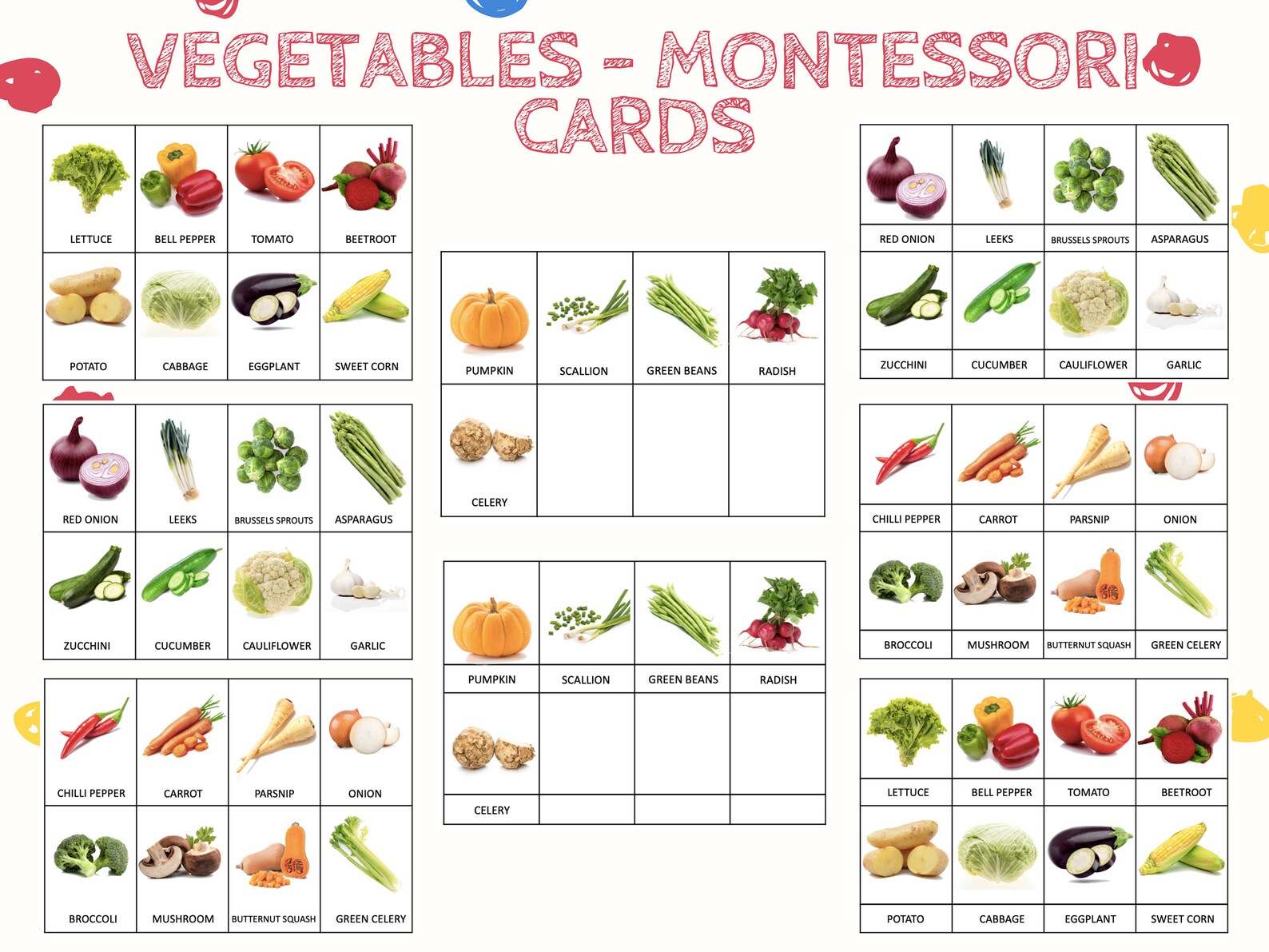 Real VEGETABLE Montessori Flashcards Three-part Cards | Etsy