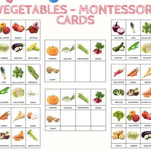 Real Vegetable Montessori Flashcards: Three-part Cards (digital ...