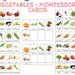 Real VEGETABLE Montessori Flashcards, Three-part Cards, Montessori ...