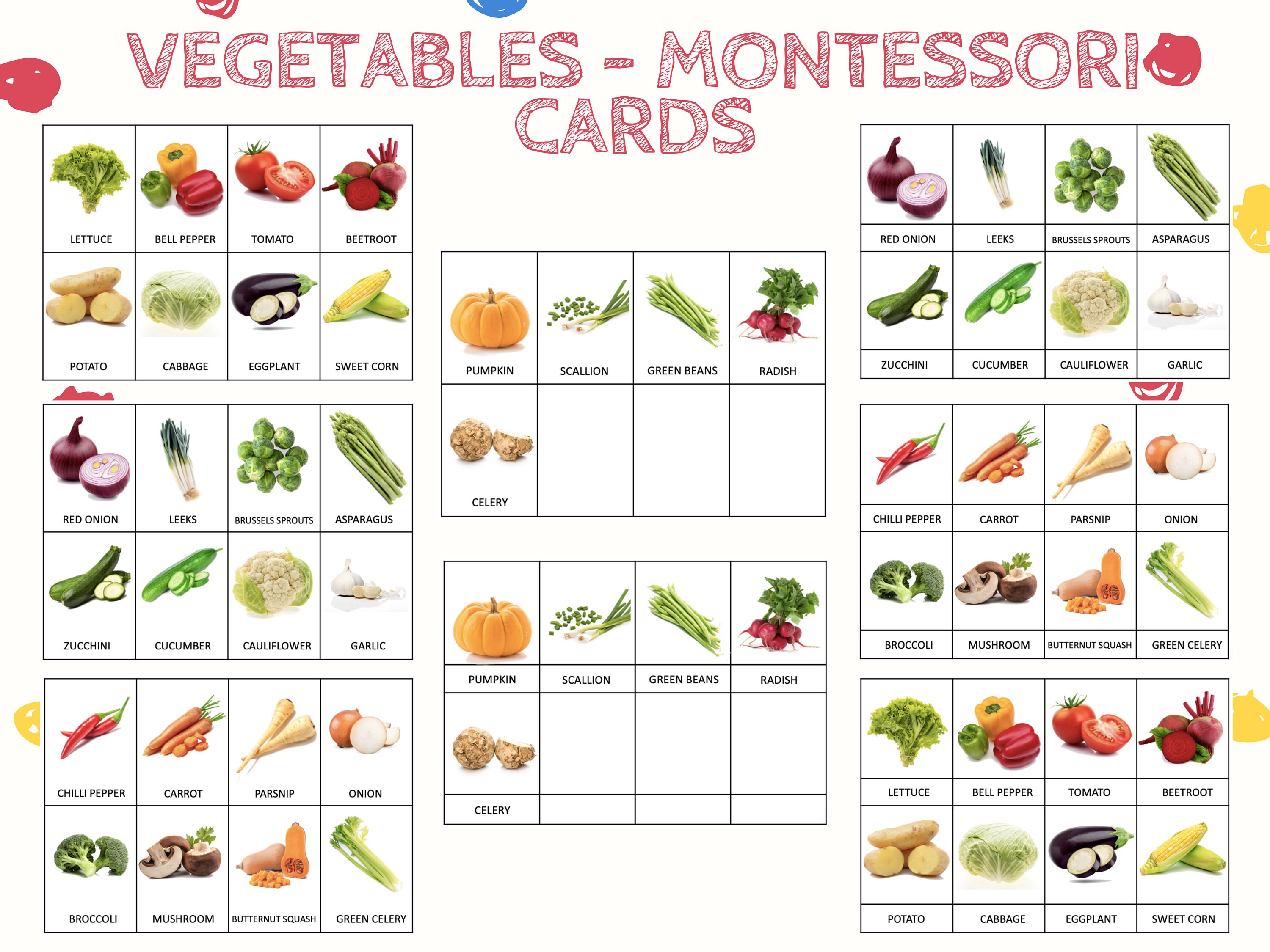 Real VEGETABLE Montessori Flashcards Three-part Cards | Etsy