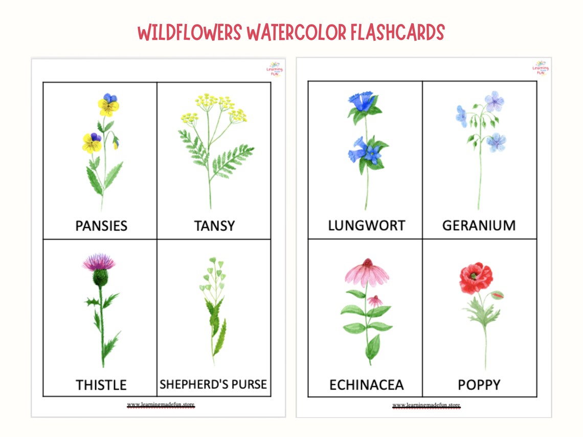 Wildflowers Montessori Cards Summer Flowers Flash Cards - Etsy