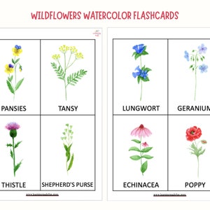 Wildflowers Montessori Cards, Summer Flowers Flash Cards, Three Part ...