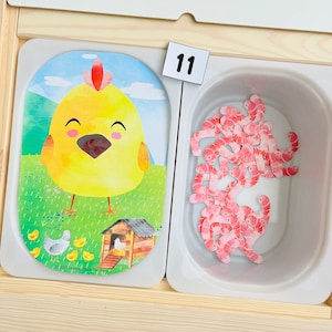 Feed the Chicken Counting Flisat Insert, Preschool Farm Play (digital ...