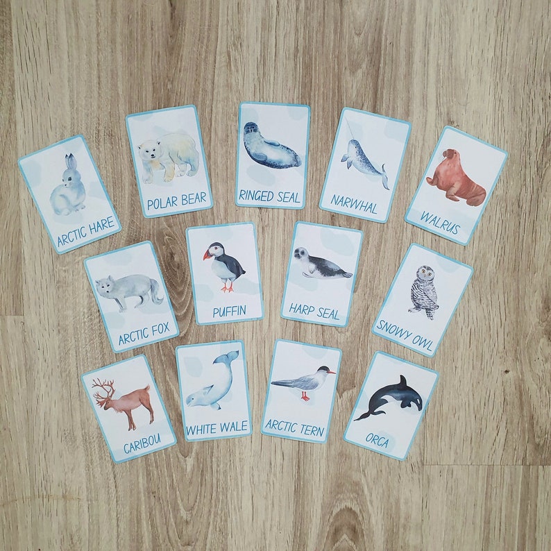 Arctic Animals Flashcards Montessori Cards Polar Animals - Etsy