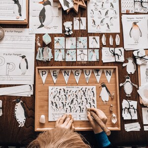 Penguins Unit Study, Penguin Themed Printable, Polar Animals Activity ...