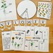 Sunflower Unit Study Learning Bundle Sunflower Life Cycle - Etsy