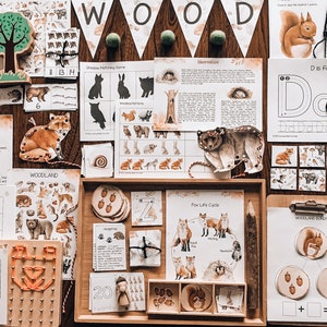 Woodland Unit Study, Forest Animals Printable, Nature Studies ...