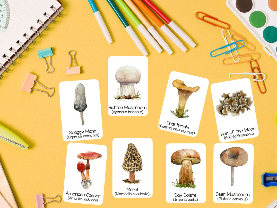 Mushroom Identification Flashcards: Montessori Three Part Cards ...