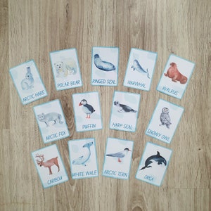 Arctic Animals Flashcards, Montessori Cards, Polar Animals Card ...