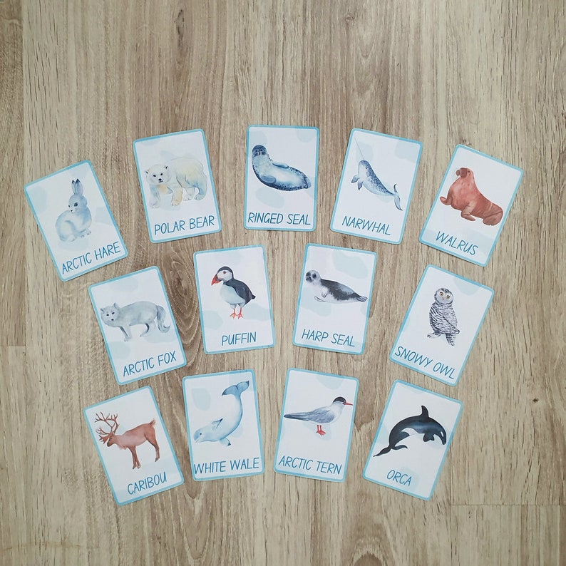 Arctic Animals Flashcards: Montessori Learning Cards (digital Download ...