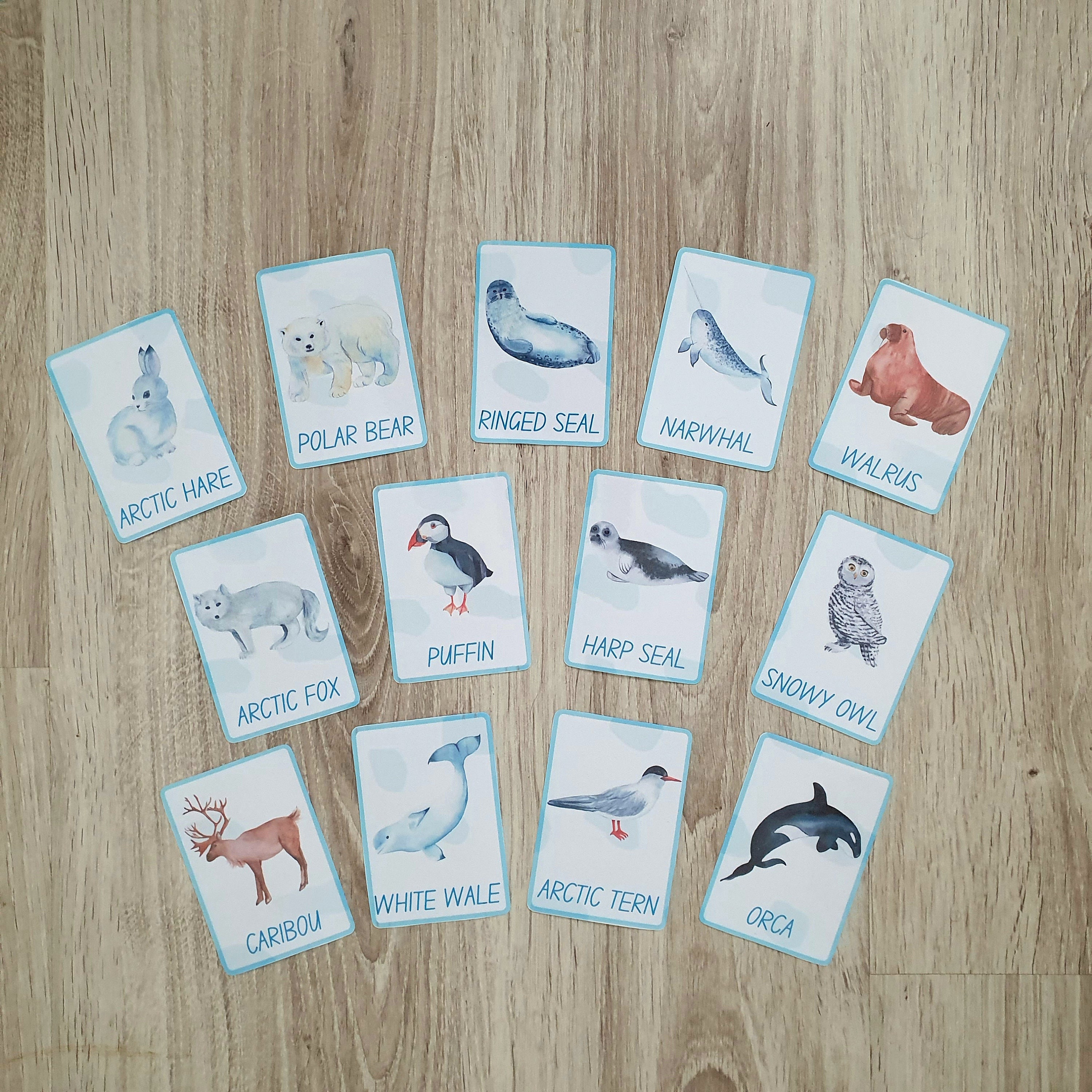 Arctic Animals Flashcards Montessori Cards Polar Animals - Etsy