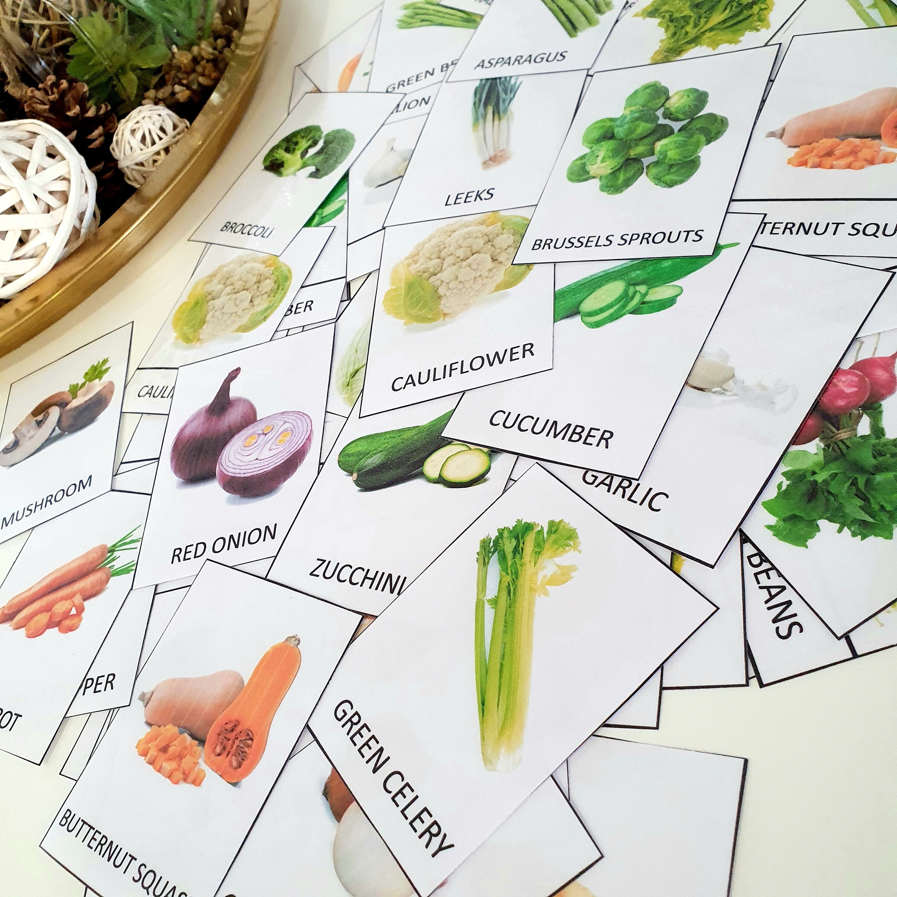 Real VEGETABLE Montessori Flashcards Three-part Cards | Etsy