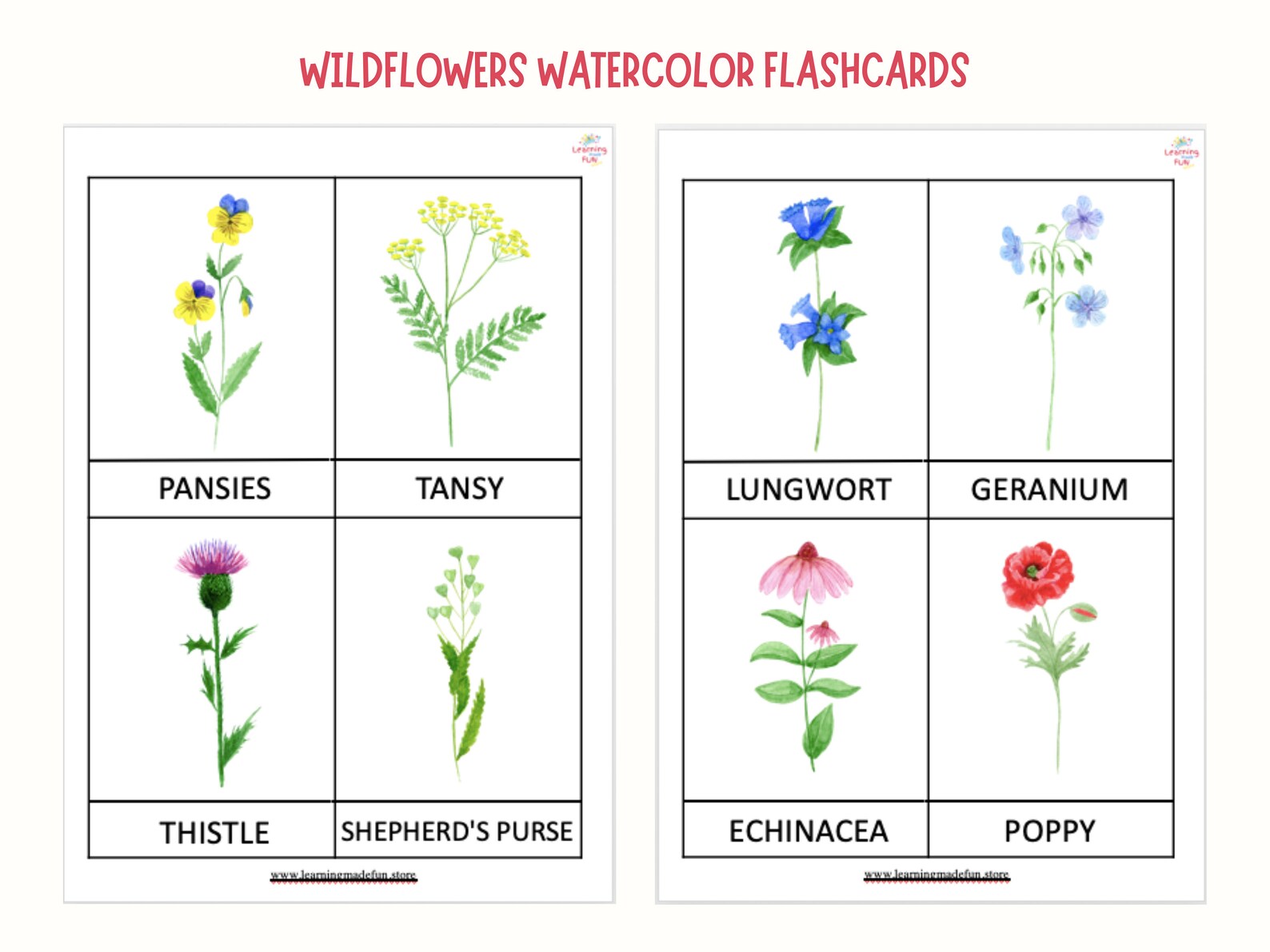 Wildflowers Montessori Cards Summer Flowers Flash Cards - Etsy
