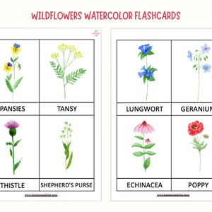Wildflowers Montessori Cards, Summer Flowers Flash Cards, Three Part ...