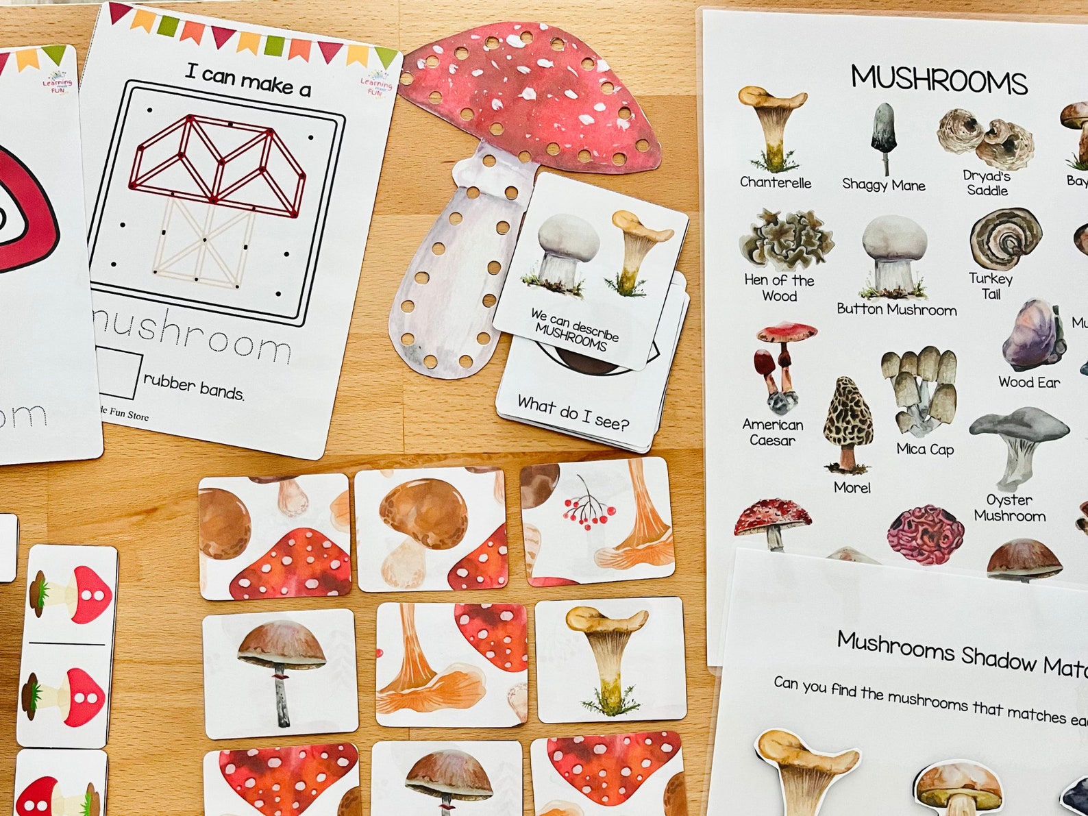 Mushrooms Unit Study Preschool Curriculum Planning - Etsy