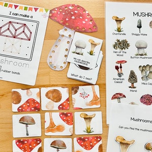 Mushrooms Unit Study: Preschool Curriculum, Montessori Activities (PDF ...