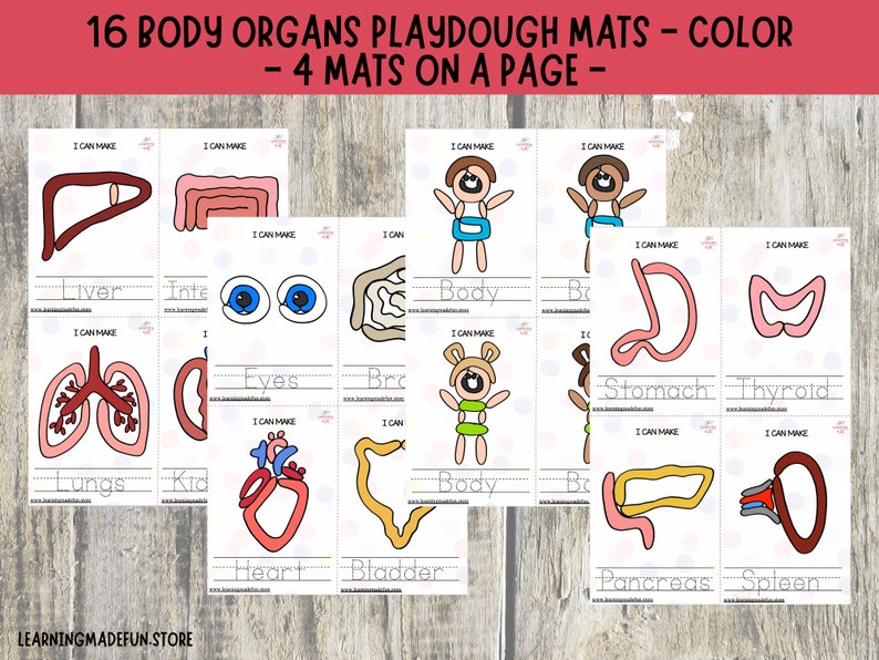 Body Organs Play Dough Mats: Anatomy Preschool Activity (digital ...