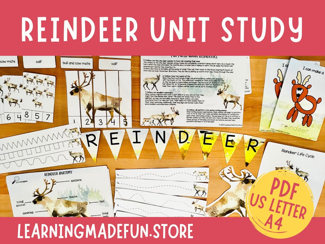 Reindeer Unit Study: Anatomy, Life Cycle, & Counting (printable) - Etsy