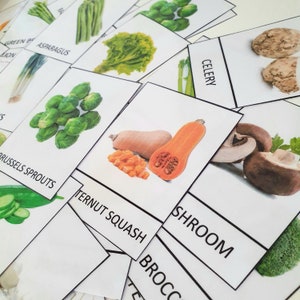 Real VEGETABLE Montessori Flashcards, Three-part Cards, Montessori ...