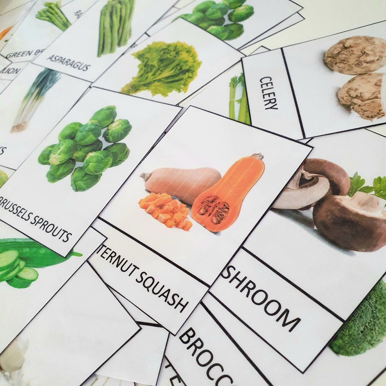 Real Vegetable Montessori Flashcards: Three-part Cards (digital ...