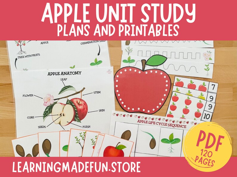 Apple Unit Study: Life Cycle & Anatomy Printable Activities (PDF) - Etsy