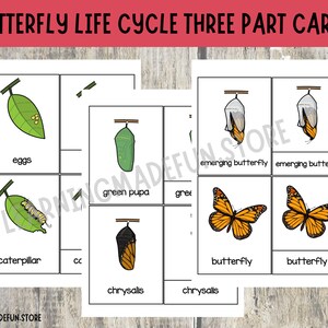 Butterfly Life Cycle Montessori Cards, Butterfly Flashcards, Three Part ...
