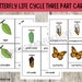Butterfly Life Cycle Montessori Cards Butterfly Flashcards - Etsy