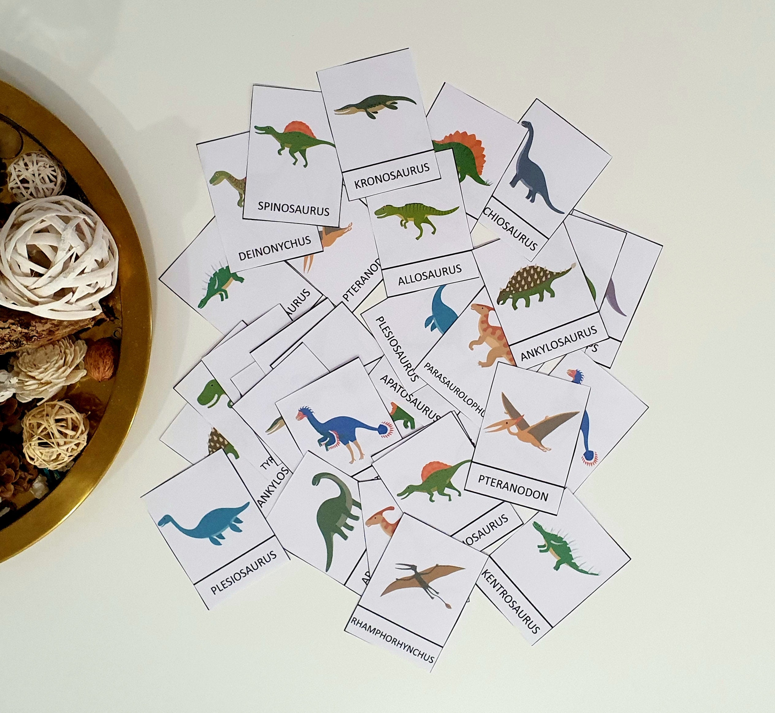 Dinosaur Montessori Flashcards for Toddlers Three-part Cards - Etsy UK
