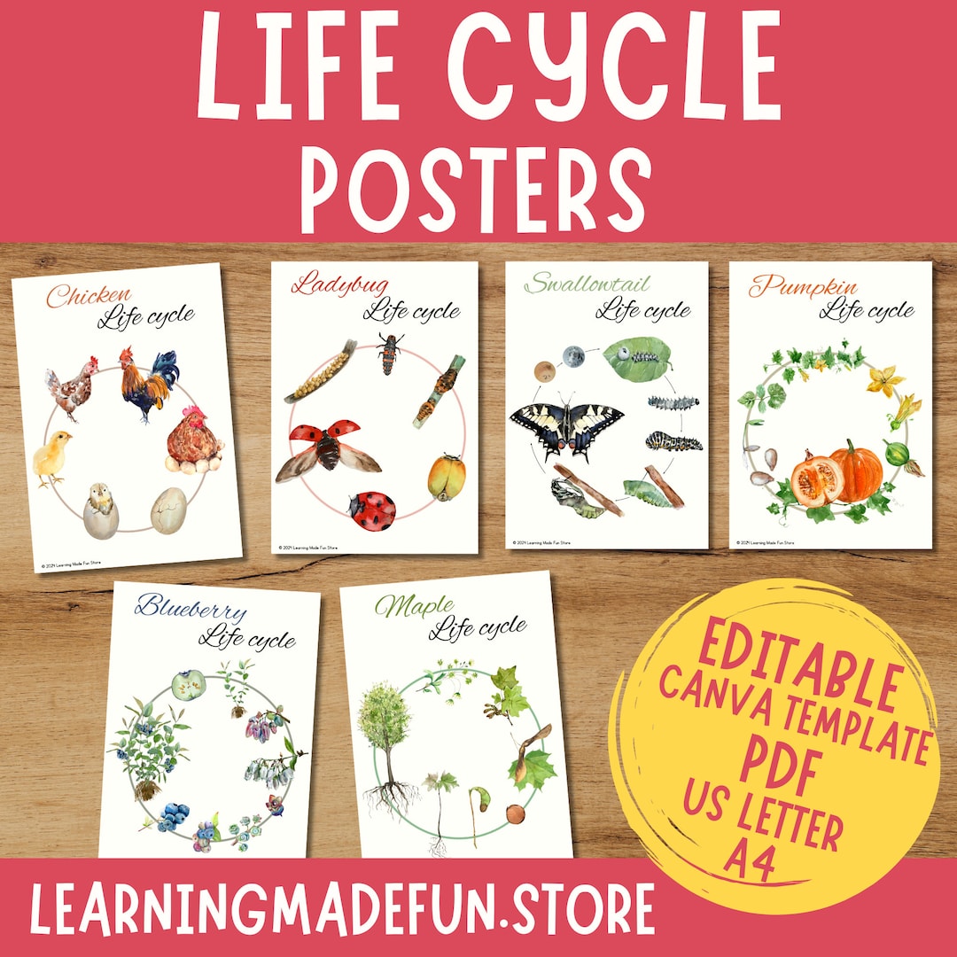 Life Cycle Posters, Educational Posters, Homeschool Learning, Bulletin ...