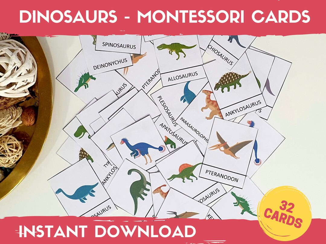 Dinosaur Montessori Flashcards for Toddlers, Three-part Cards ...