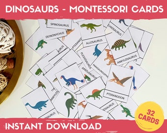Dinosaur Flash Cards - Etsy