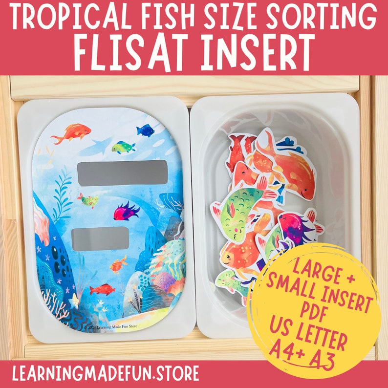 Tropical Fish Size Sort: Printable Flisat Insert (digital Download) - Etsy