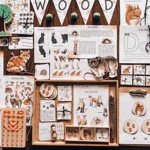 Woodland Unit Study, Forest Animals Printable, Nature Studies ...