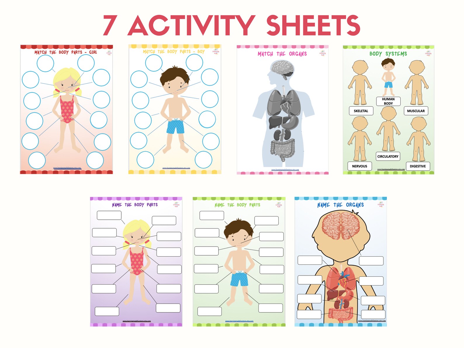 Human Body Parts Matching Game: Preschool Learning Binder (digital ...