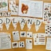 Woodland Unit Study, Forest Animals Printable, Nature Studies ...