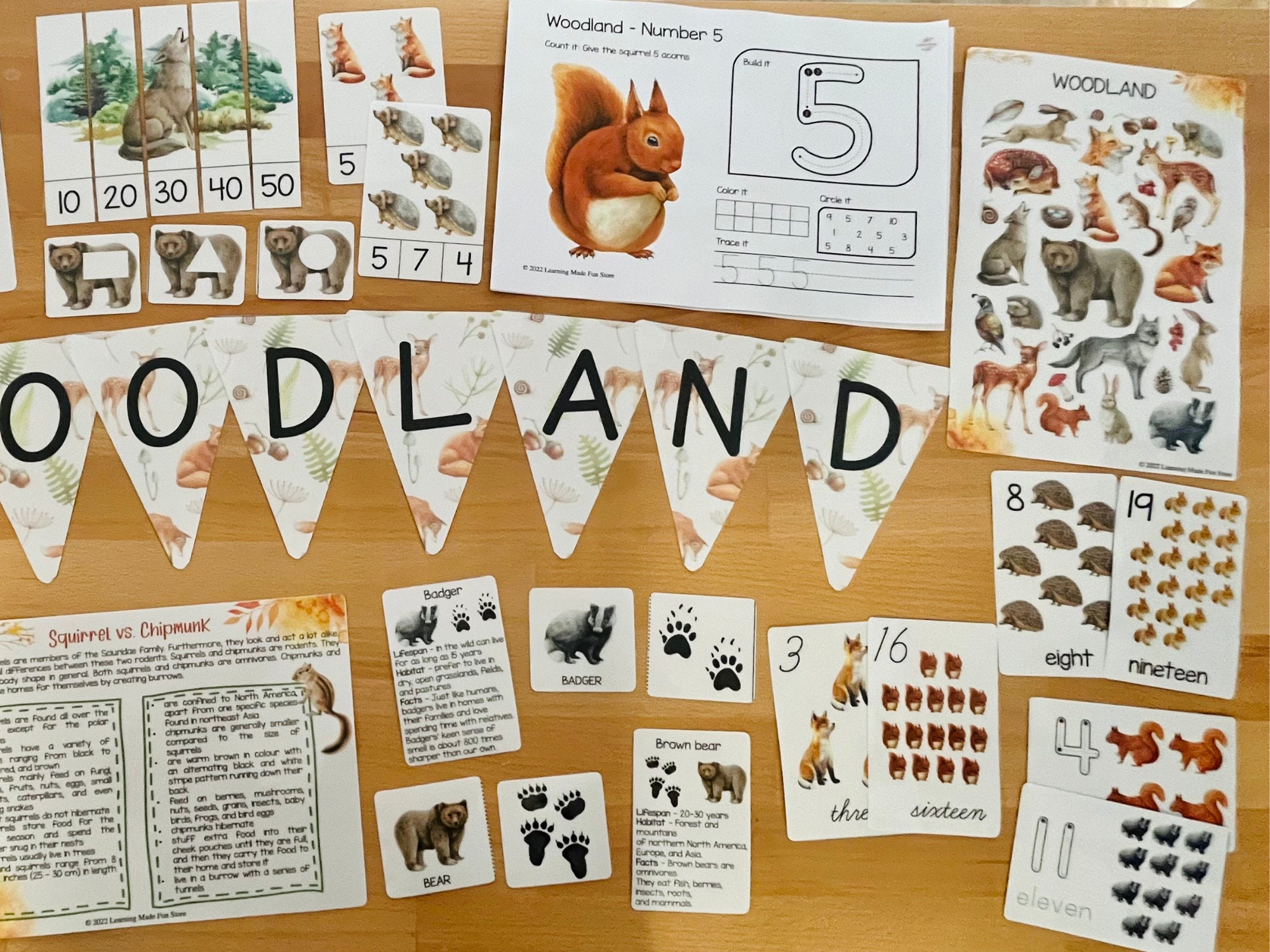 Woodland Unit Study, Forest Animals Printable (PDF) - Etsy