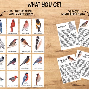 Winter Birds Identification Cards, Birds Three Part Cards, Montessori ...