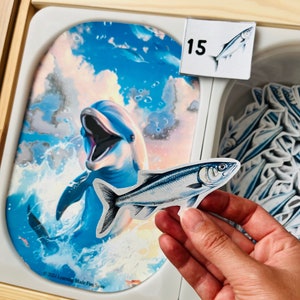 Feed Dolphin Counting to 20, Printable Flisat Insert, Trofast Insert ...