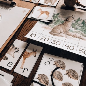 Woodland Unit Study, Forest Animals Printable, Nature Studies ...