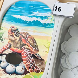 Sea Turtle Eggs Counting to 20, Printable Flisat Insert, Trofast Insert ...