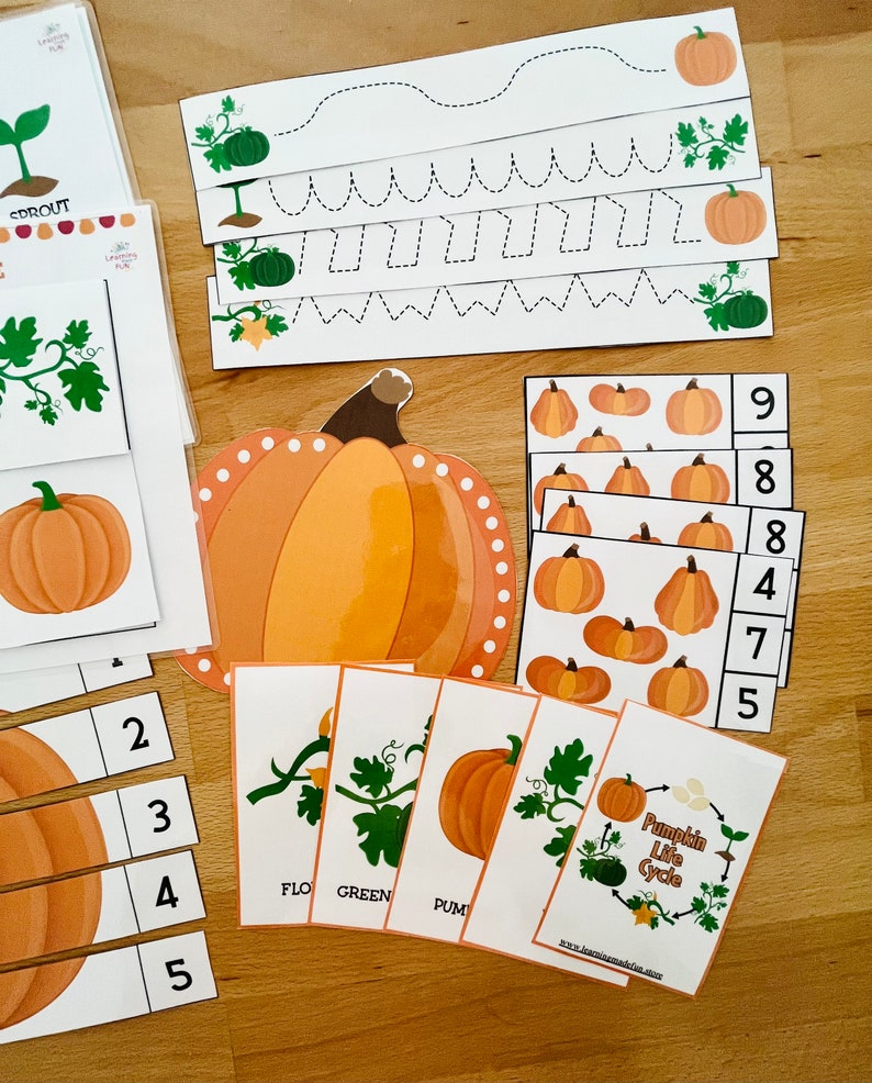 Pumpkin Life Cycle Unit Study: Preschool Learning Activities (PDF) - Etsy