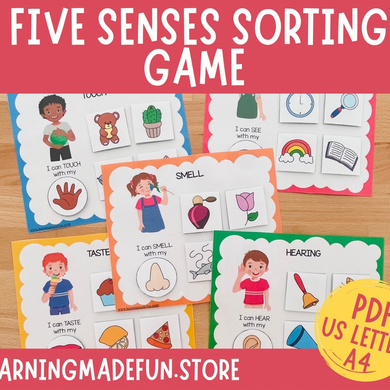 Five Senses Preschool - Etsy