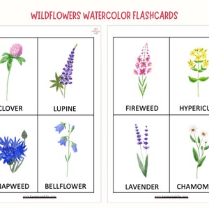 Wildflowers Montessori Cards, Summer Flowers Flash Cards, Three Part ...