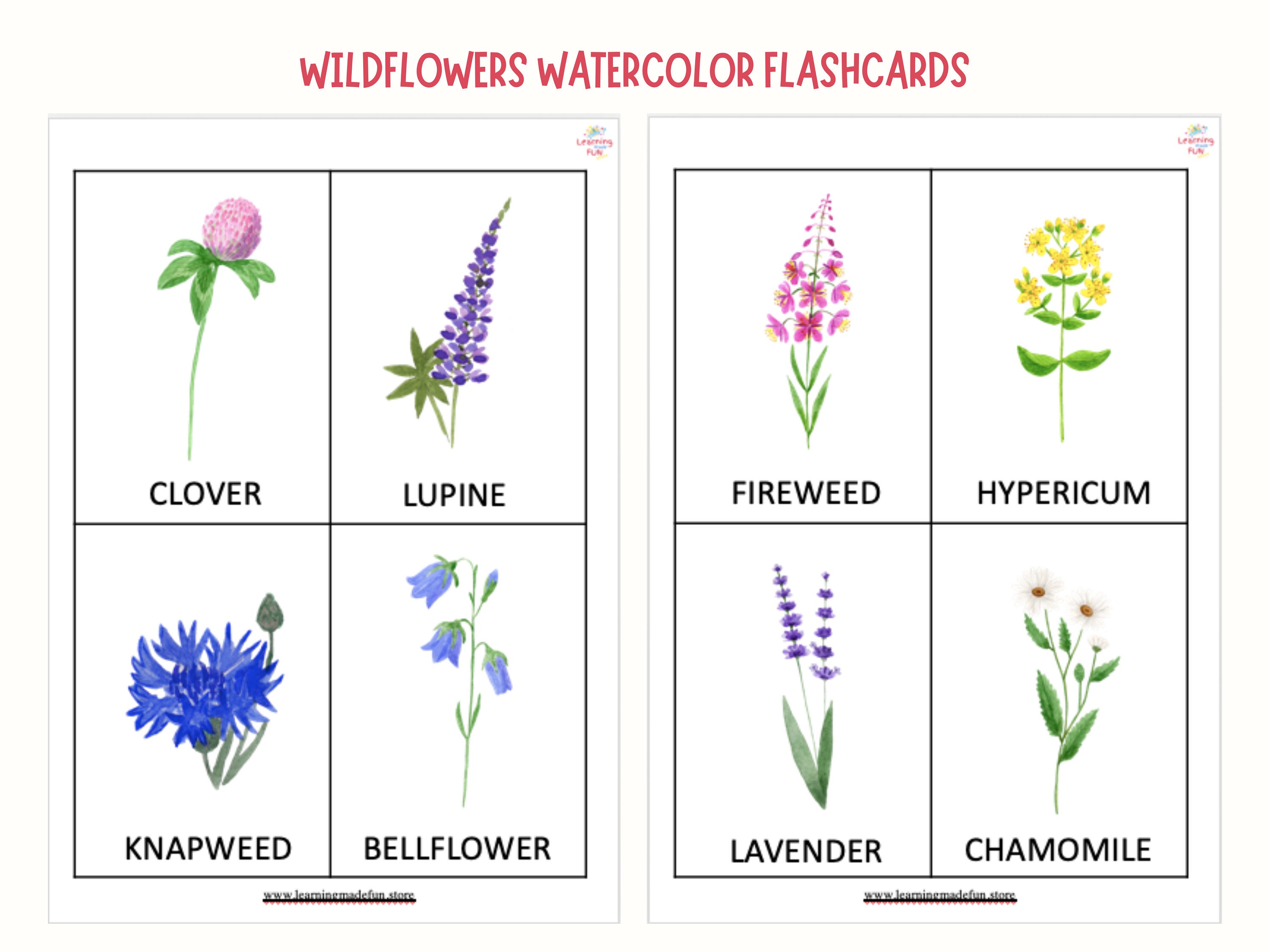Wildflowers Montessori Cards Summer Flowers Flash Cards - Etsy