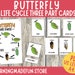 Butterfly Life Cycle Montessori Cards: Three Part Flashcards (PDF ...
