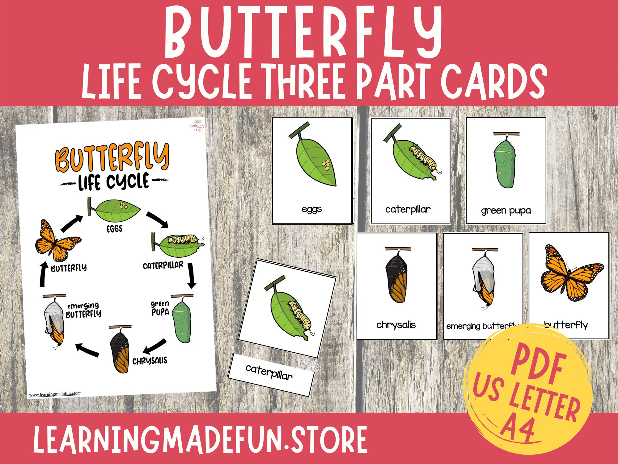 Butterfly Life Cycle Montessori Cards: Three Part Flashcards (PDF) - Etsy