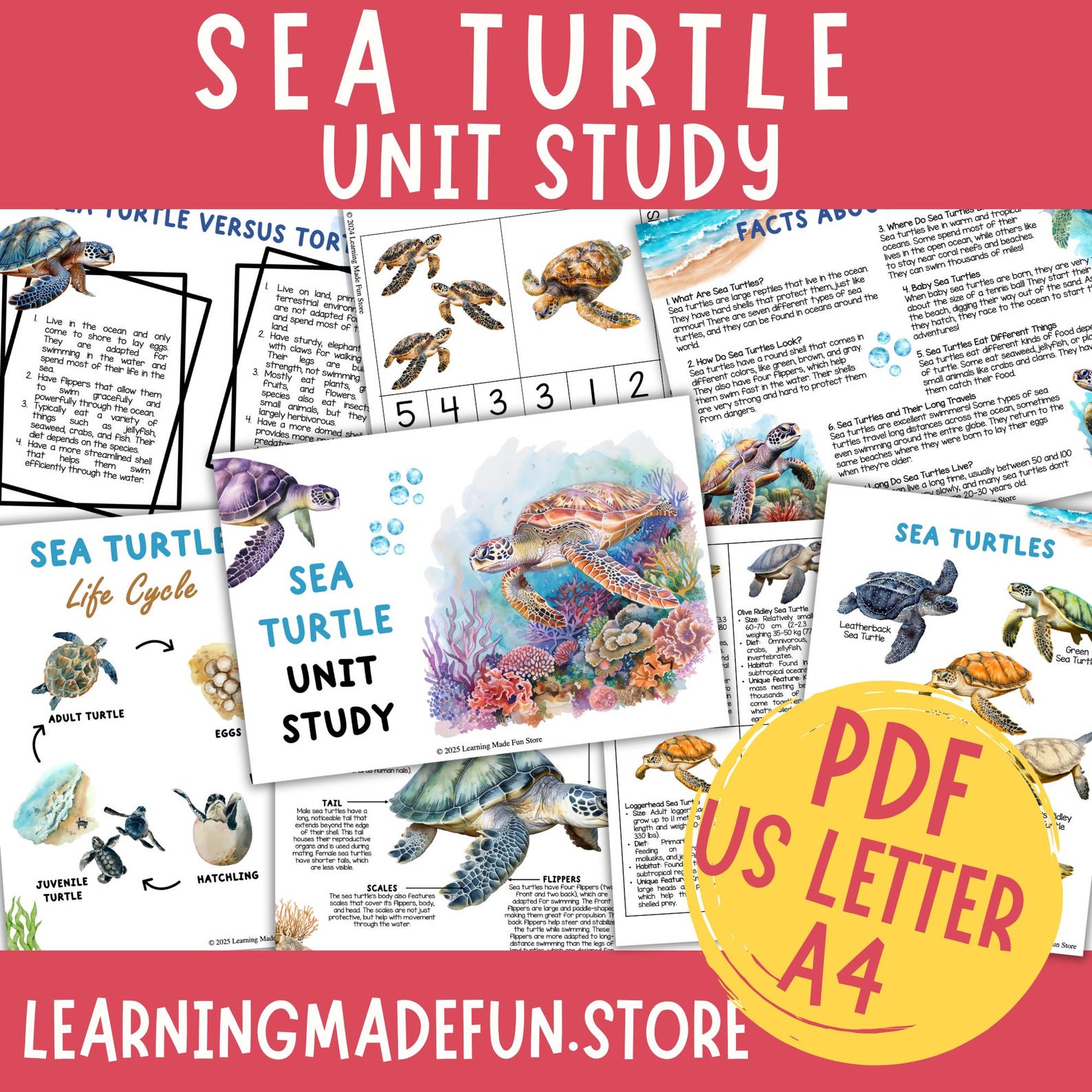 Sea Turtle Unit Study | Life Cycle, Anatomy, Math & Literacy (digital ...