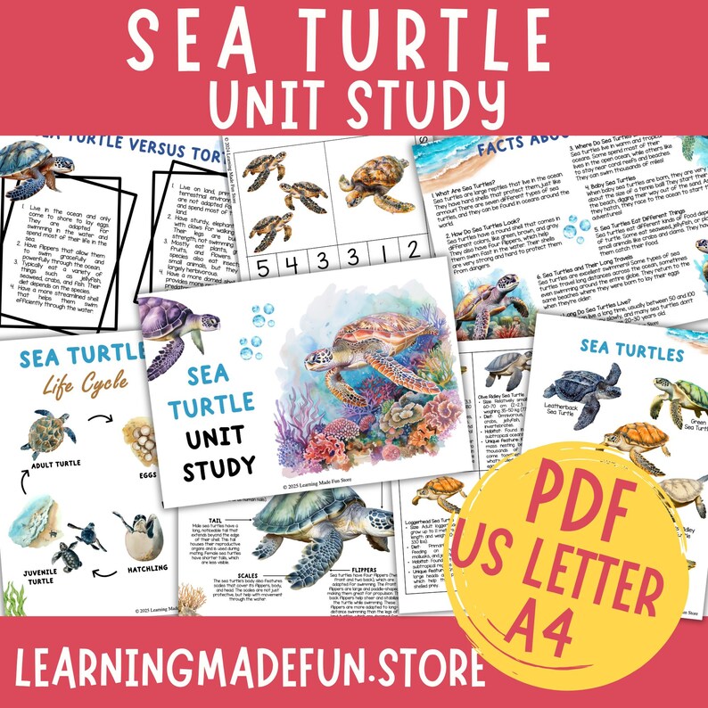 Sea Turtle Unit Study | Life Cycle, Anatomy, Math & Literacy (digital ...