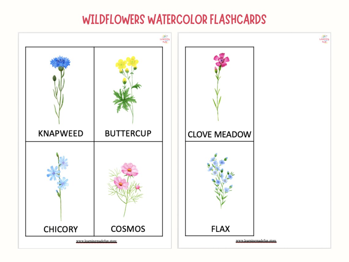 Wildflowers Montessori Cards Summer Flowers Flash Cards - Etsy